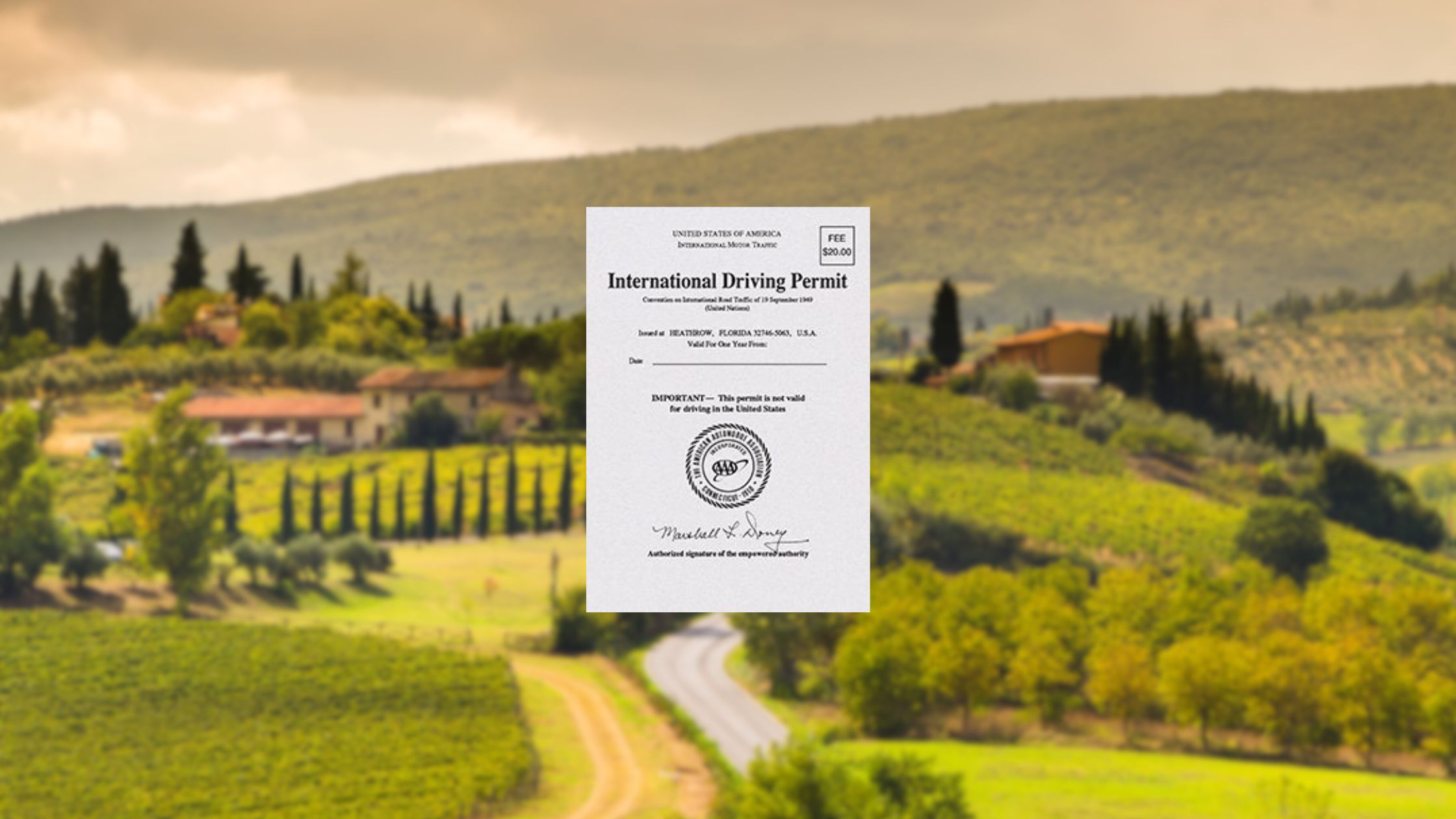International Driving Permits: Your Guide to Driving Abroad Legally